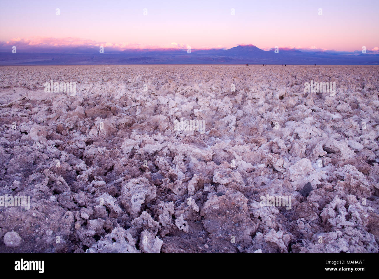 Salt crust in the Salar de Atacama (Atacama Salt Lake), Soncor, Los ...