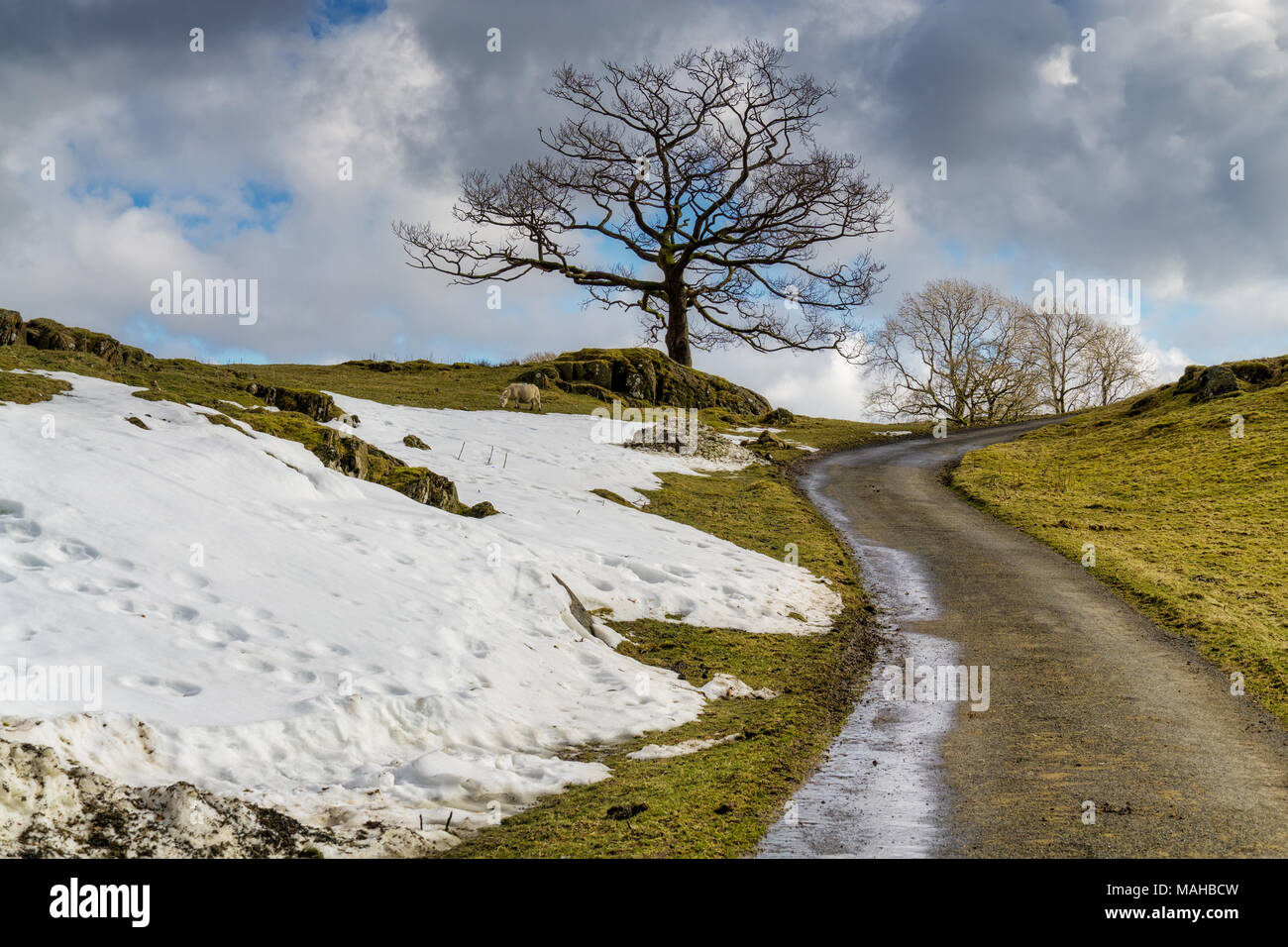 English country lane hi-res stock photography and images - Alamy