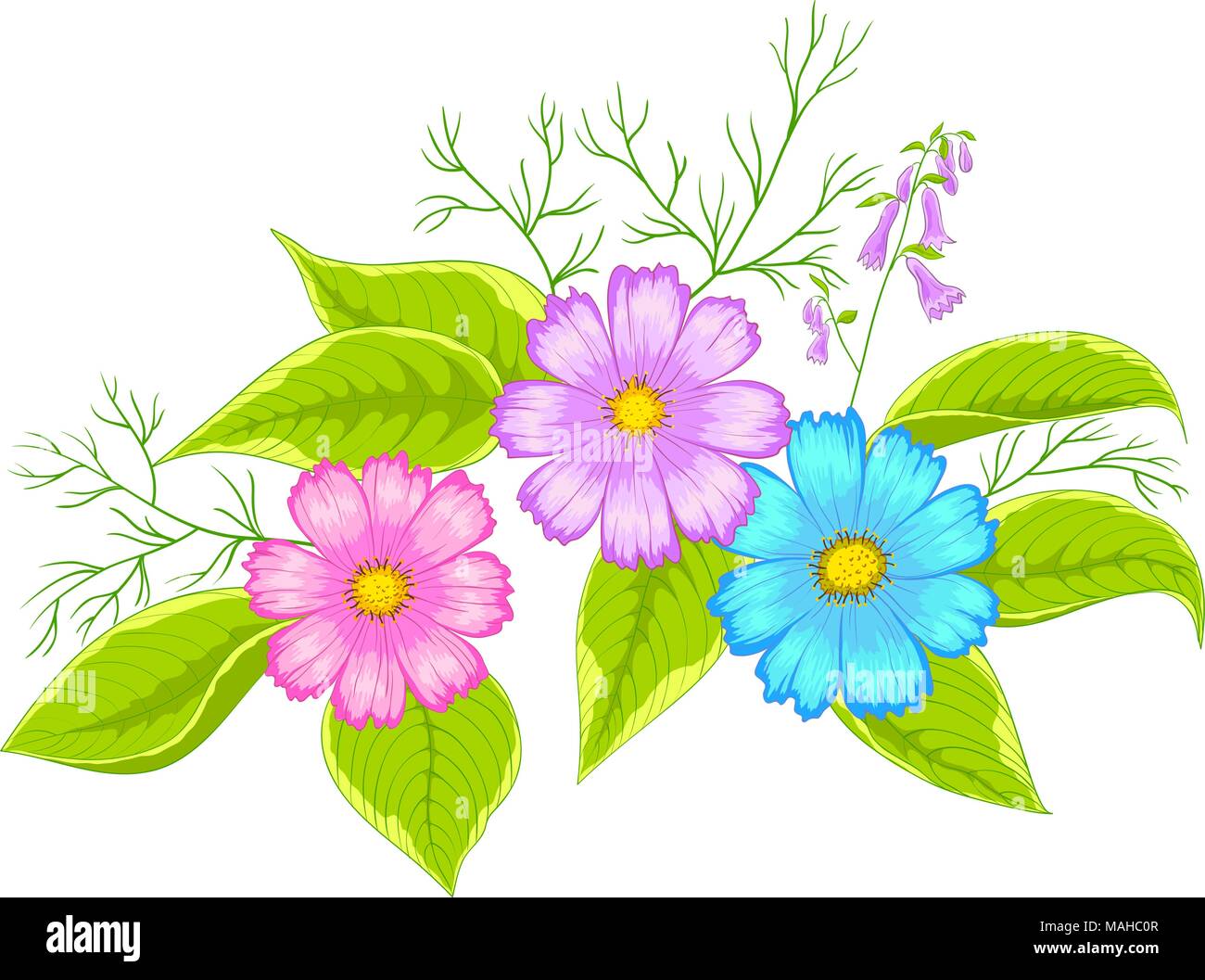Pink cosmos flower bud Stock Vector Images - Alamy