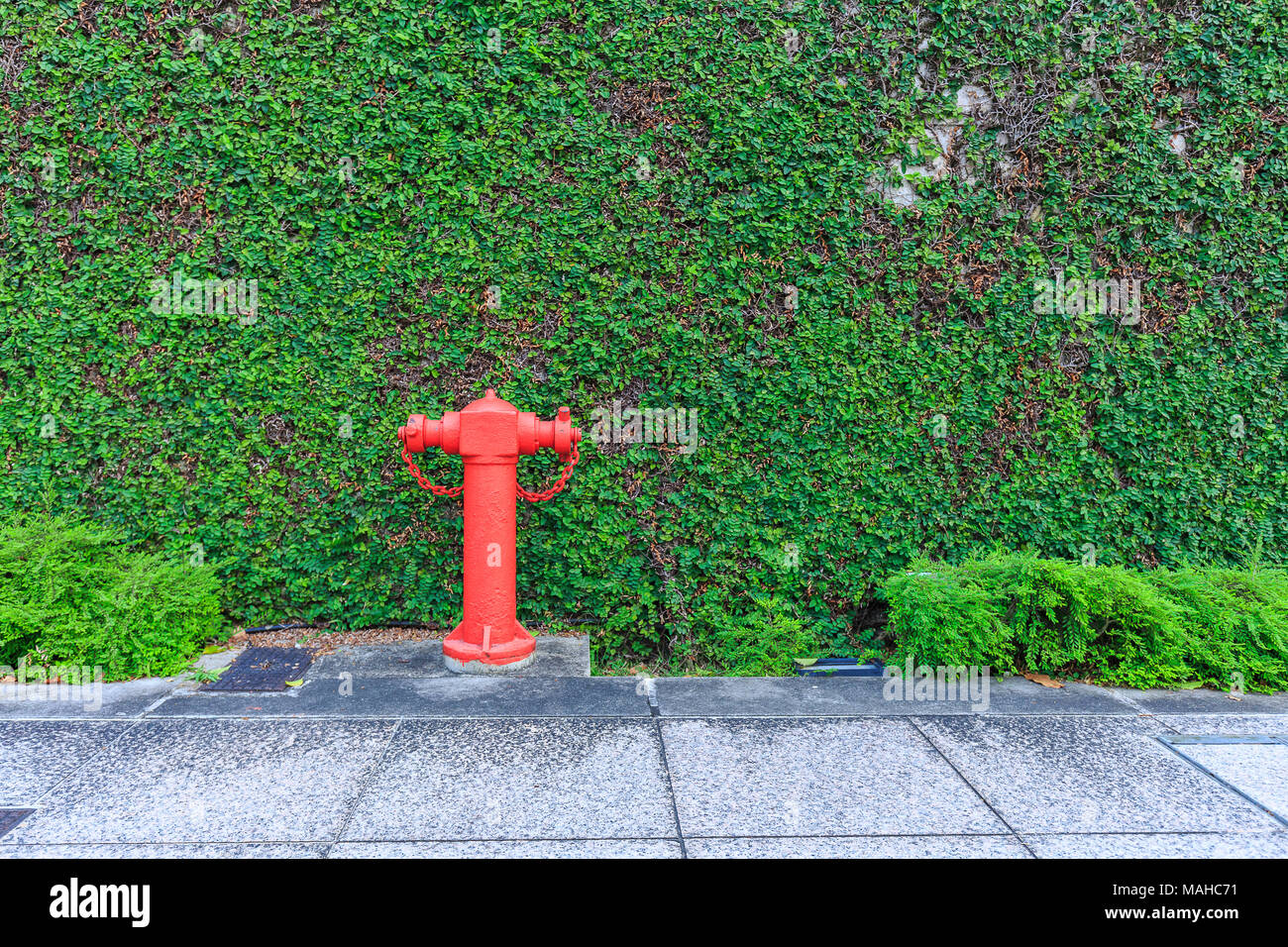Red fire water supply and with green tree wall Stock Photo - Alamy