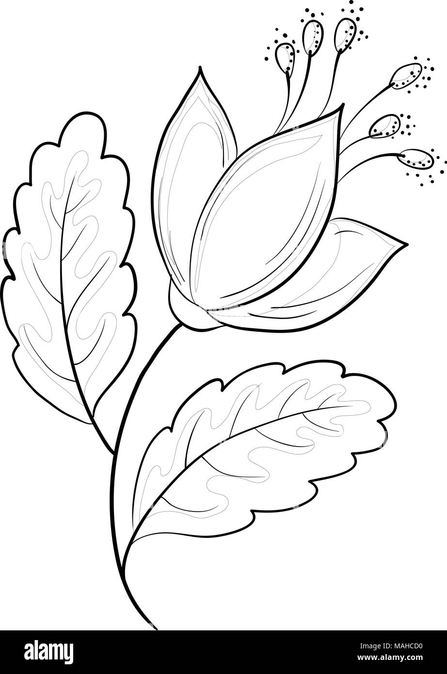 Beautiful contours Stock Vector Images - Alamy