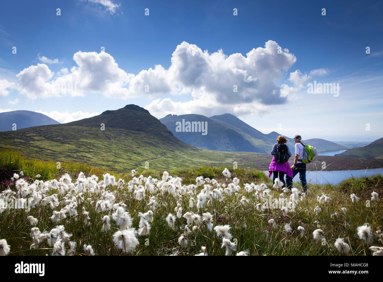 Mourne Mountains, County Down, Northern Ireland Stock Photo - Alamy