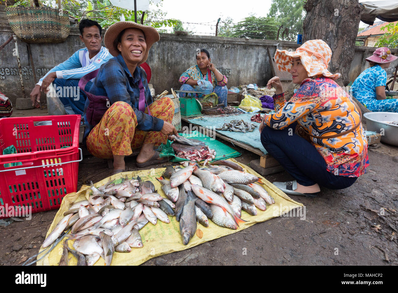 Cambodia fish hi-res stock photography and images - Alamy
