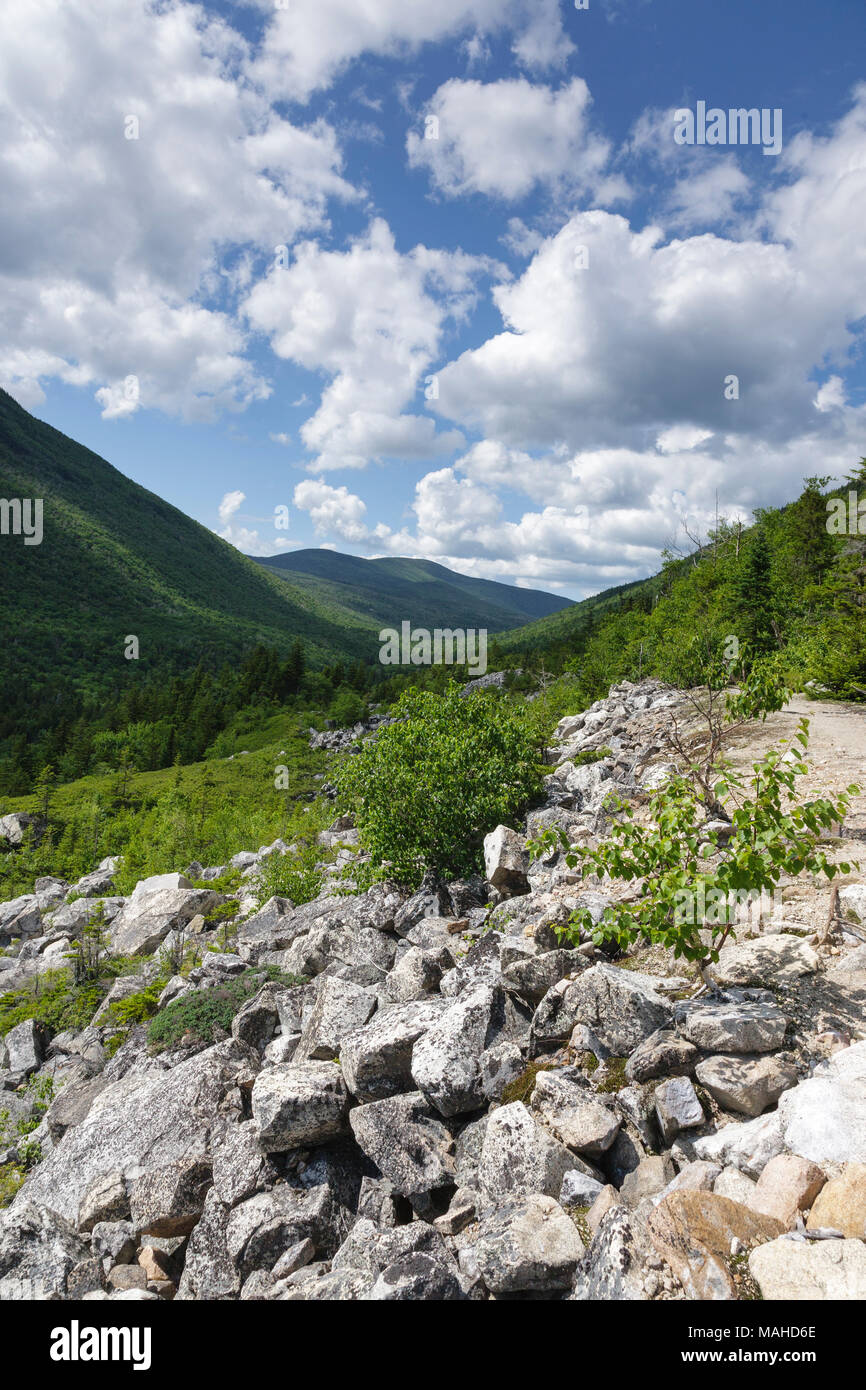 Ethan Pond Trail High Resolution Stock Photography and Images - Alamy