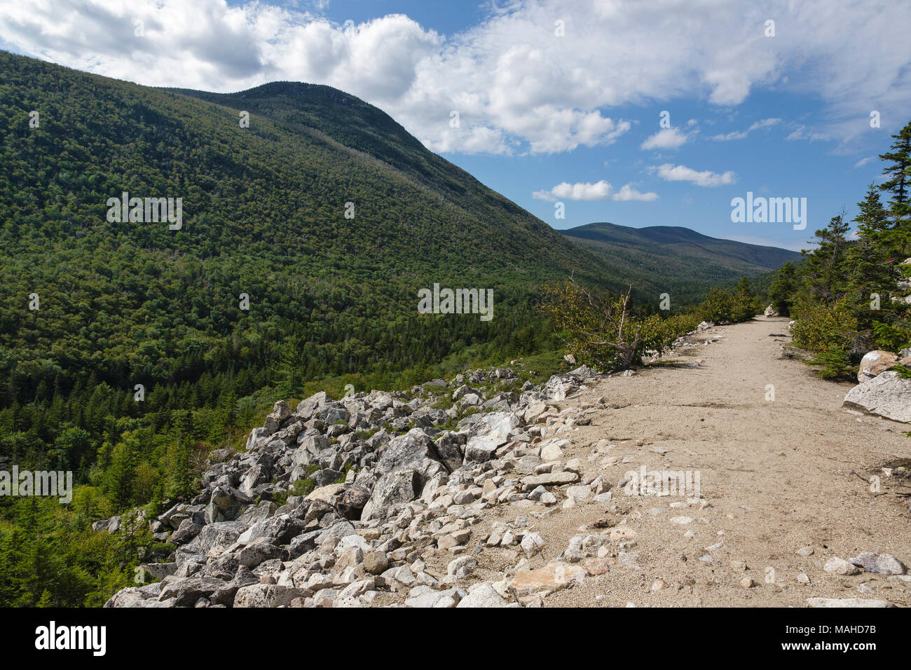 Forgotten forest trail hi-res stock photography and images - Alamy