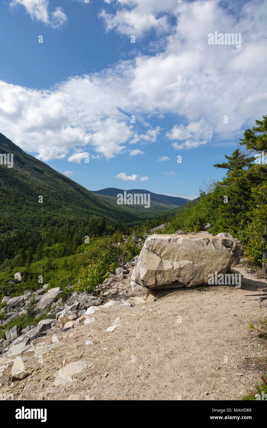 Forgotten forest trail hi-res stock photography and images - Alamy