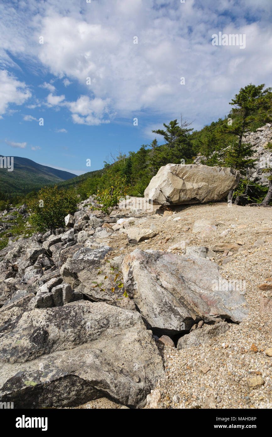 Zealand Notch - Scenic view from along the Appalachian Trail (Ethan ...
