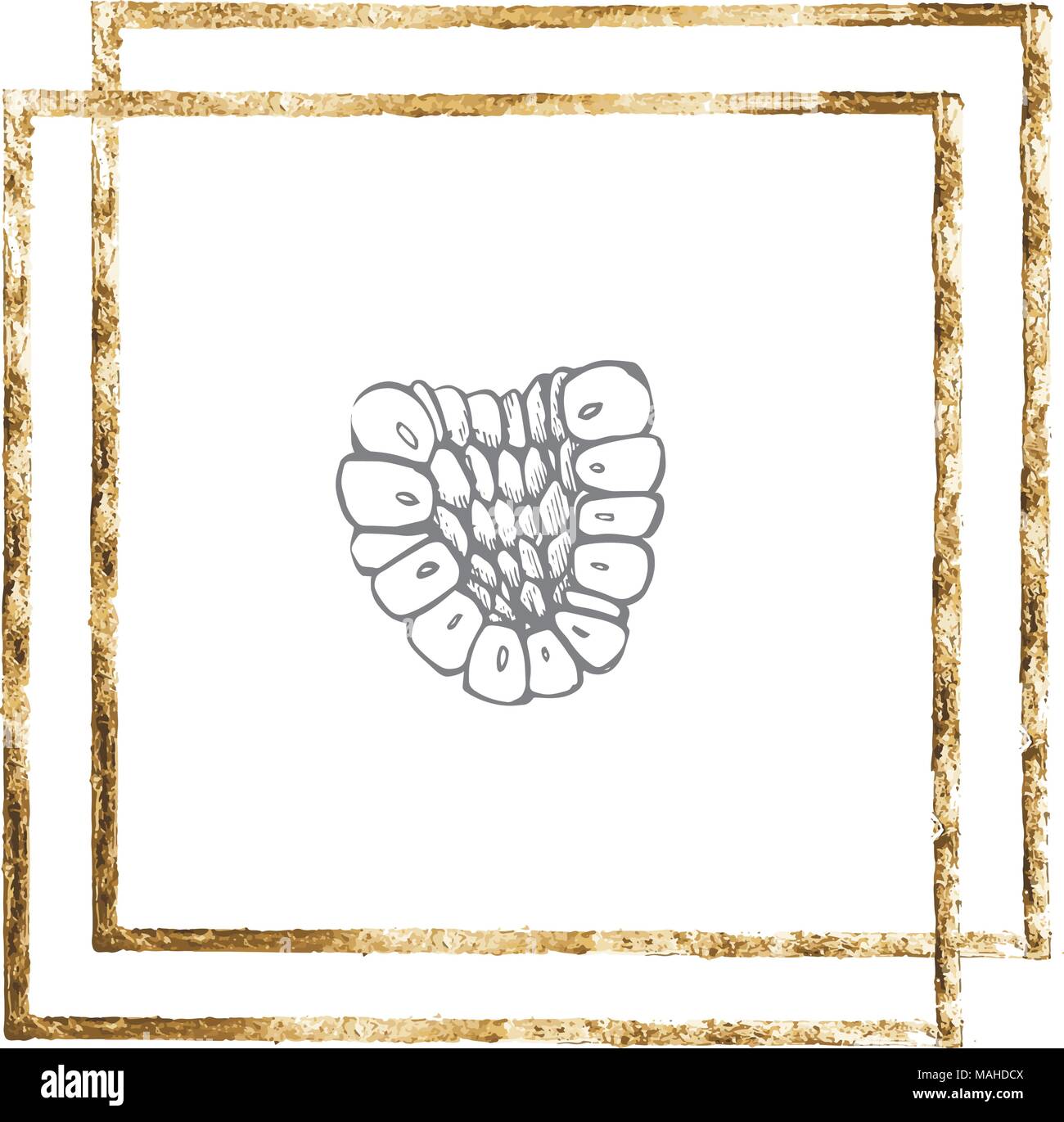 Hand drawn raspberry set isolated on white background. Retro sketch ...