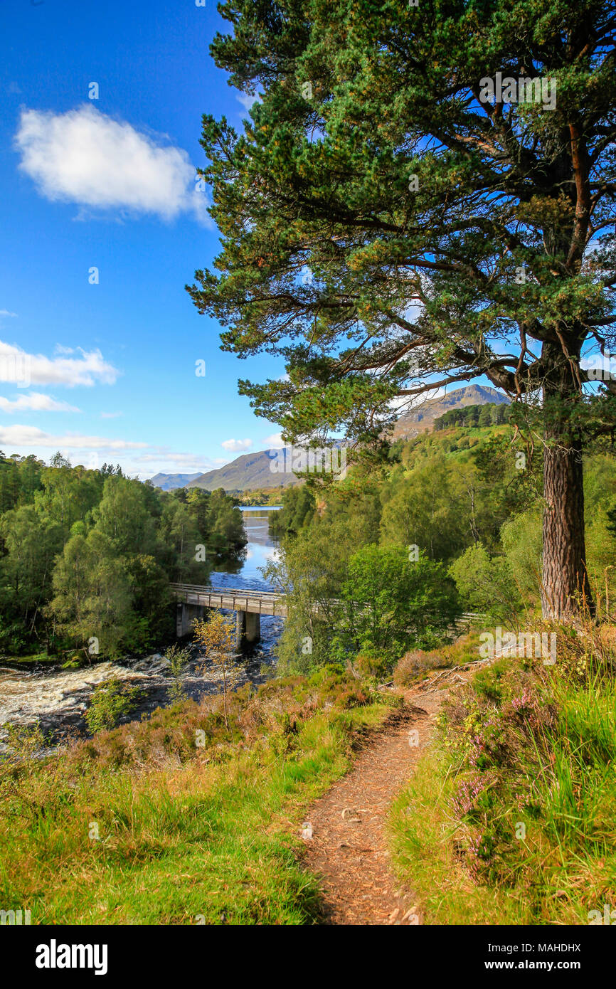Affric hi-res stock photography and images - Alamy
