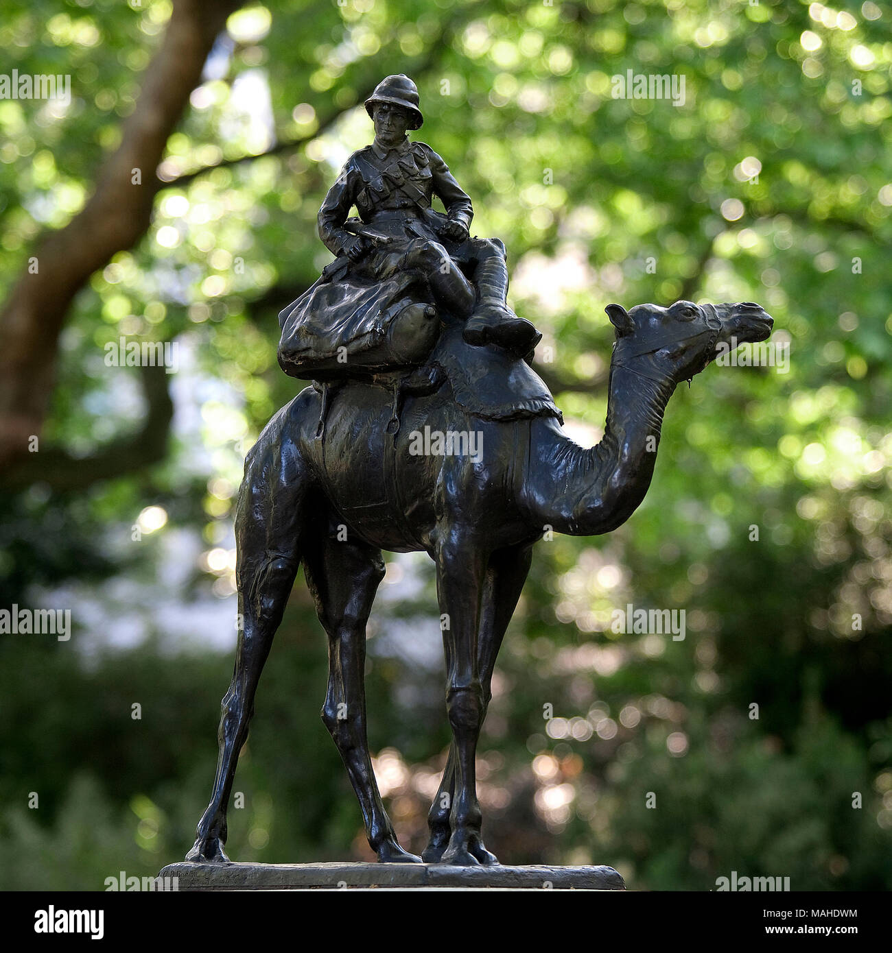 Camel Corps by Major Cecil Brown (1868 - 1926) The Imperial Camel Corps ...