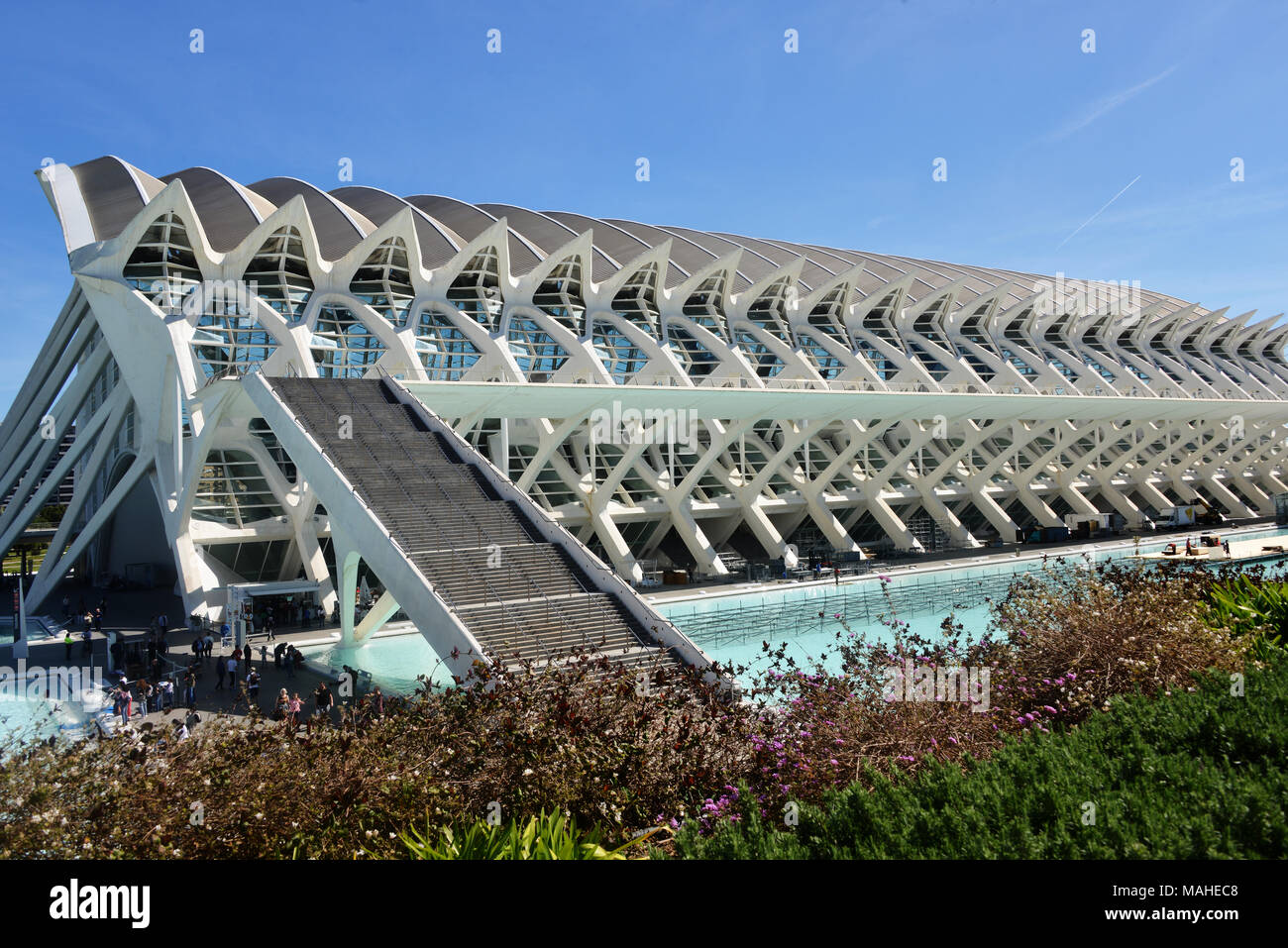Science Museum, Architecture in Valencia, Spain Stock Photo - Alamy