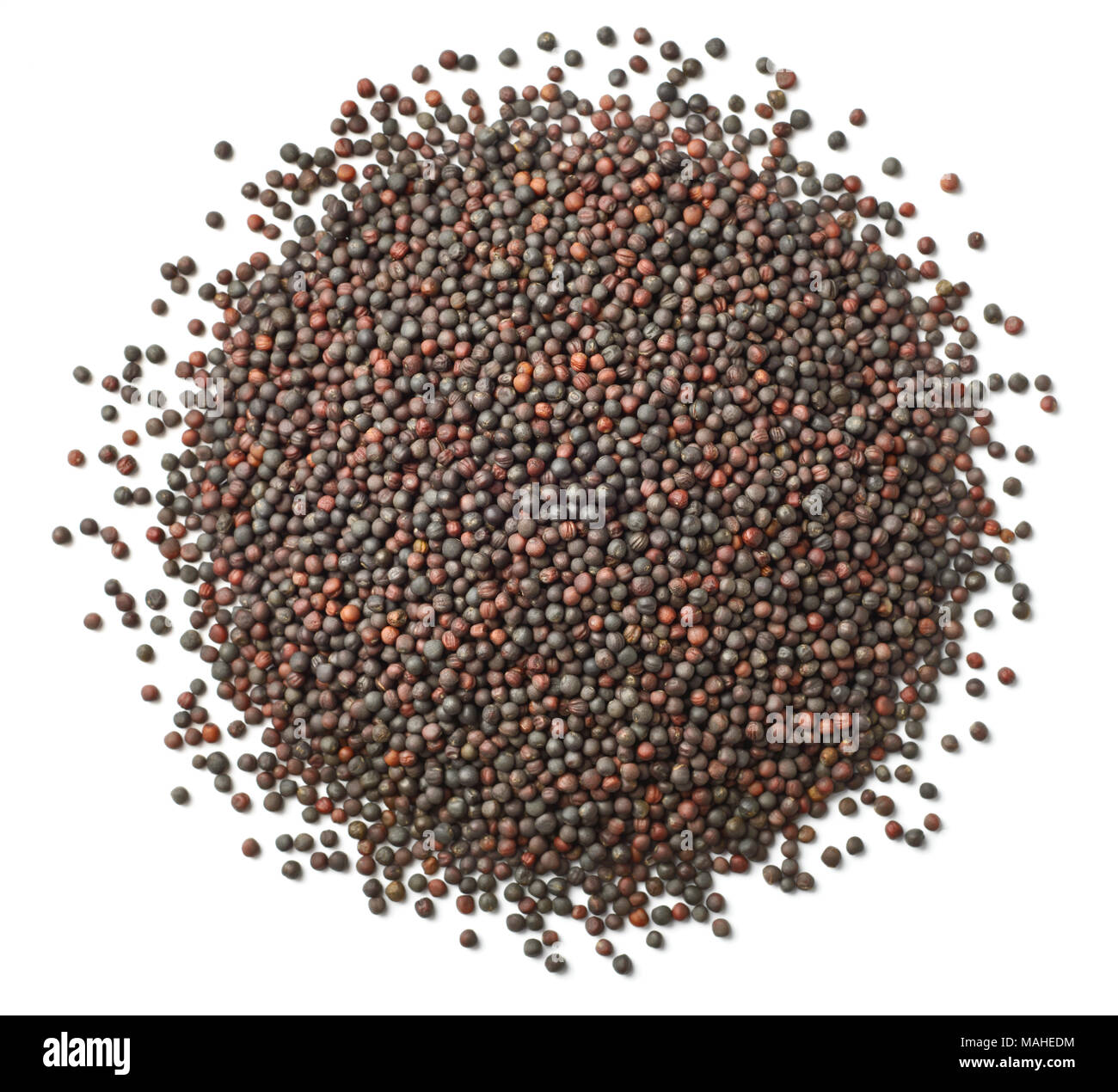 Canola seeds hi-res stock photography and images - Alamy