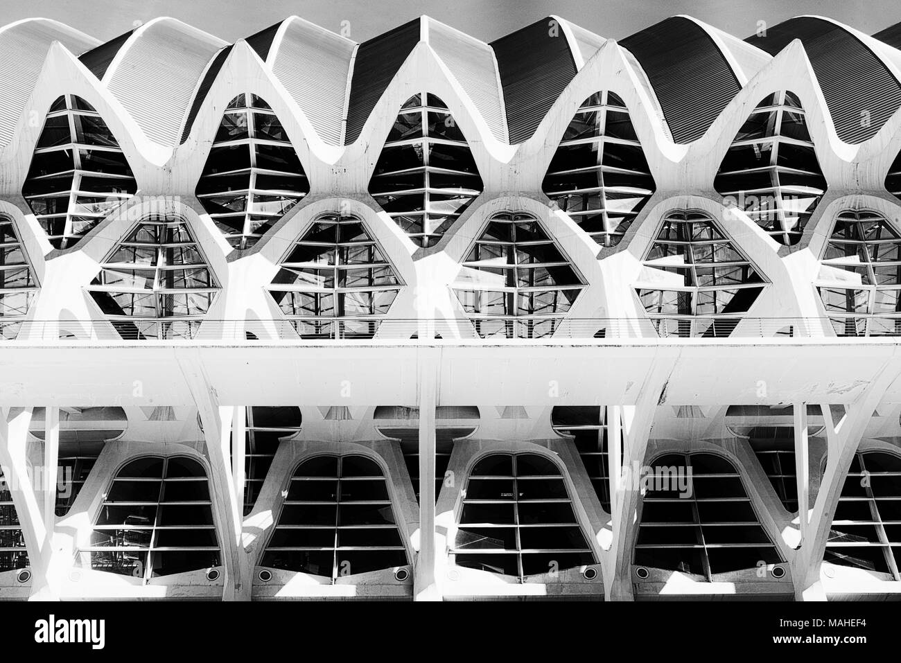 Science Museum, Architecture in Valencia, Spain Stock Photo - Alamy