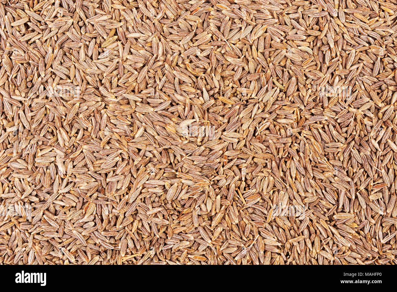Closeup Cumin High Resolution Stock Photography and Images - Alamy