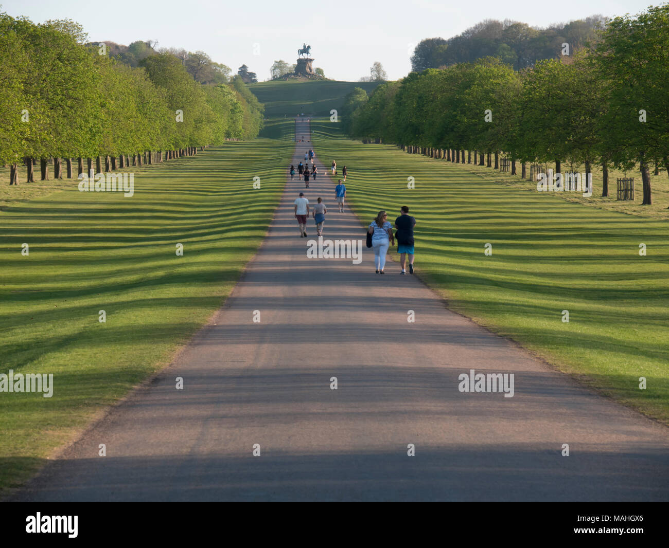 Windsor castle from long walk hi-res stock photography and images - Alamy