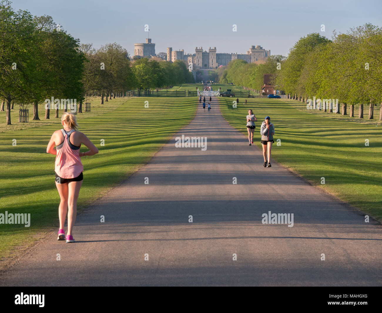 Windsor castle from long walk hi-res stock photography and images - Alamy