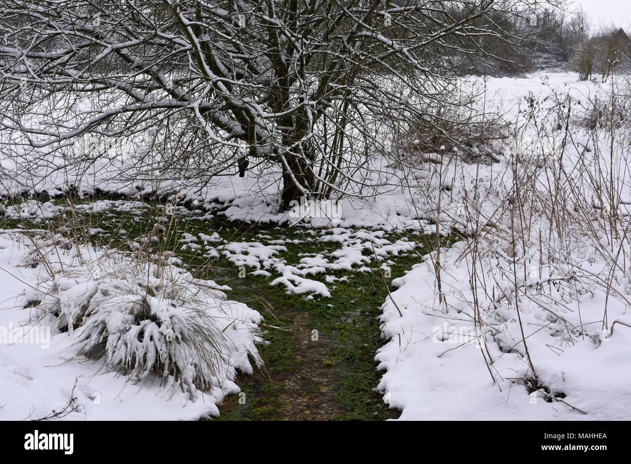 Anton lakes hi-res stock photography and images - Alamy