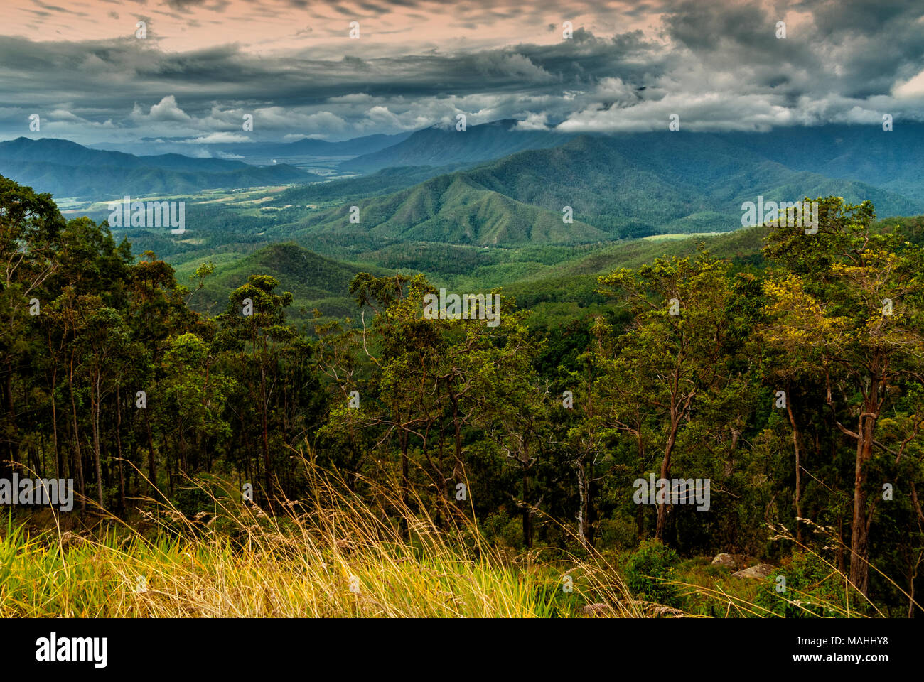 Daintree Rainforest, Tropical North Queensland, Australia Stock Photo ...