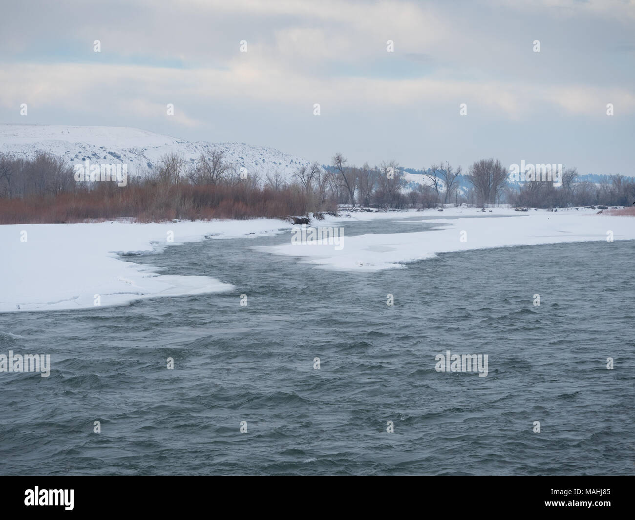 Ice and snow on the riverbank of the Yellowstone River with a deciduous ...