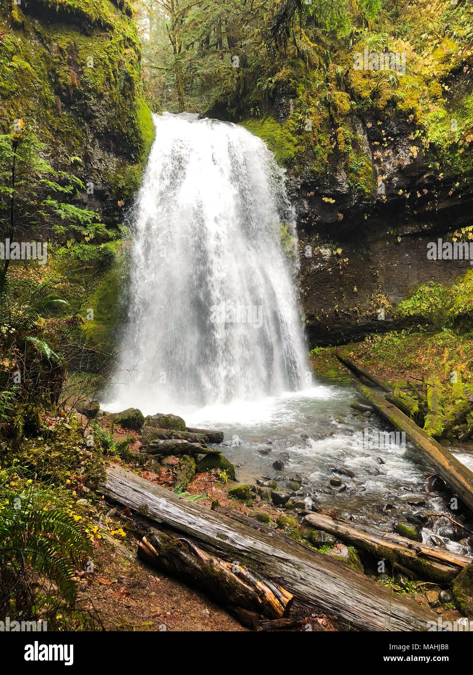 Spirit Falls Unpqua National Forest Oregon Stock Photo - Alamy