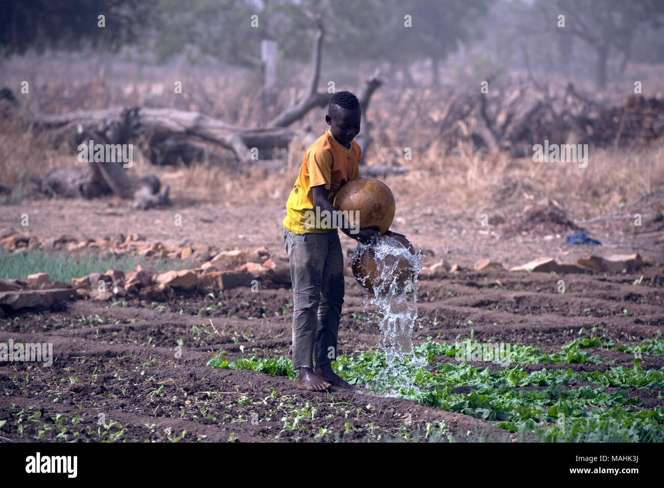 Dogon tribe hi-res stock photography and images - Alamy
