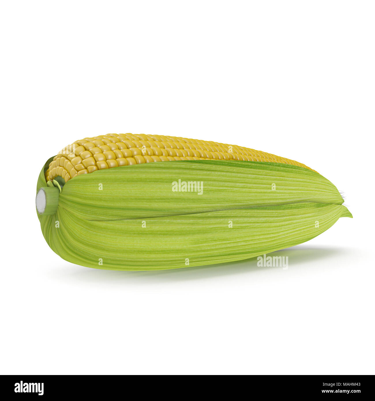 Ear of corn isolated on a white. Fresh corncob. 3D illustration Stock ...