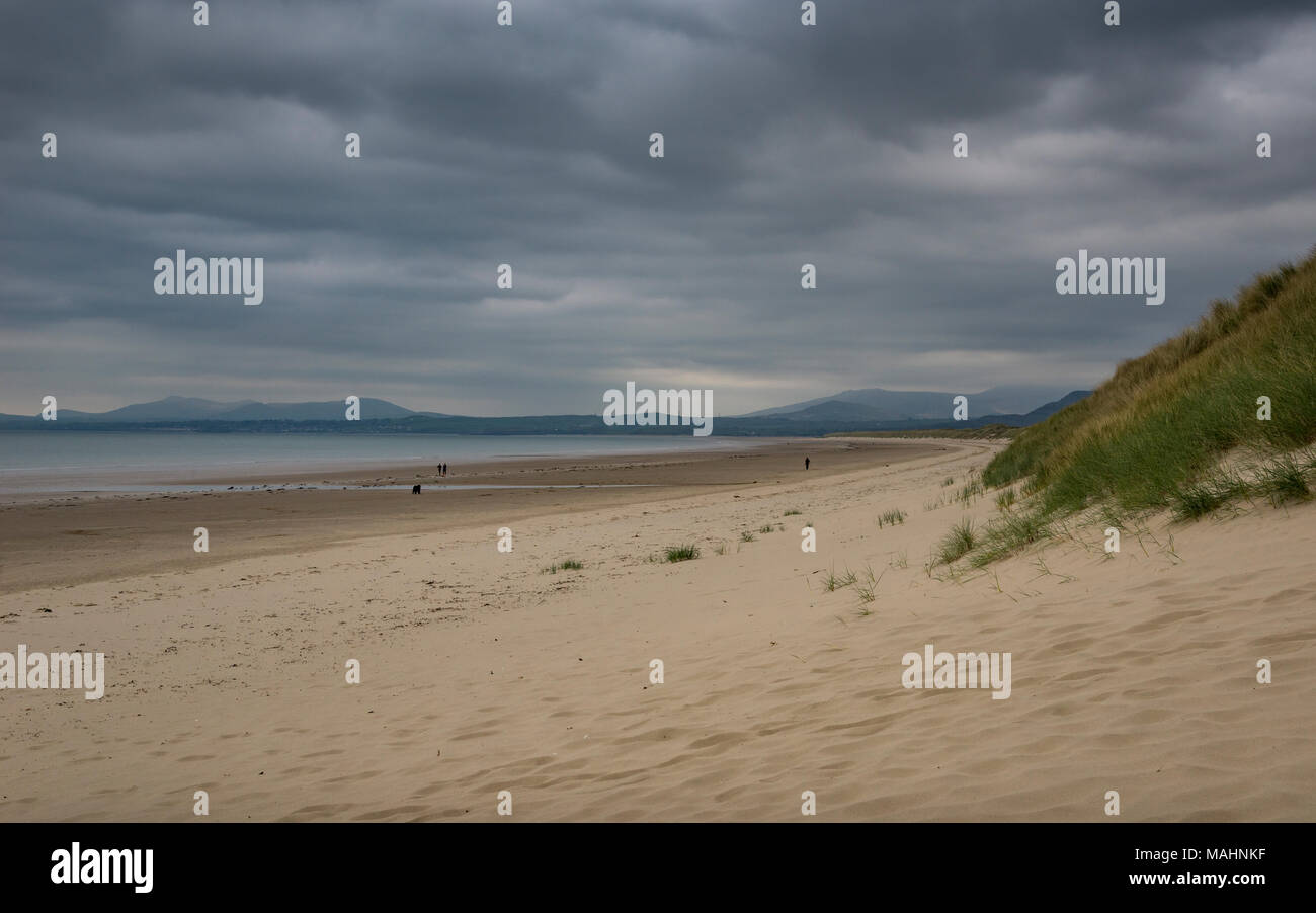 An overcast day at Harlech beach on the coast of North Wales Stock ...
