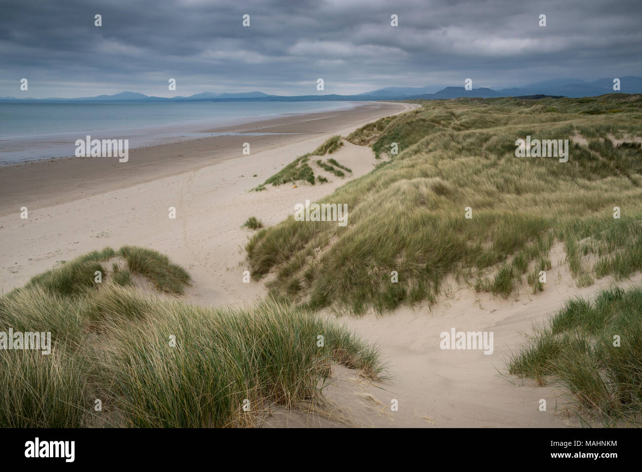 Sand dunes at Harlech beach, Snowdonia, North Wales. An overcast day in ...