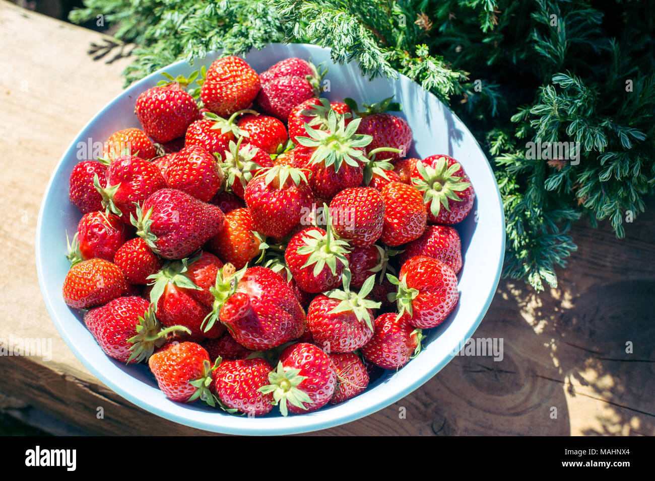 A fresh red ripe strawberry with green on a plate hi-res stock ...