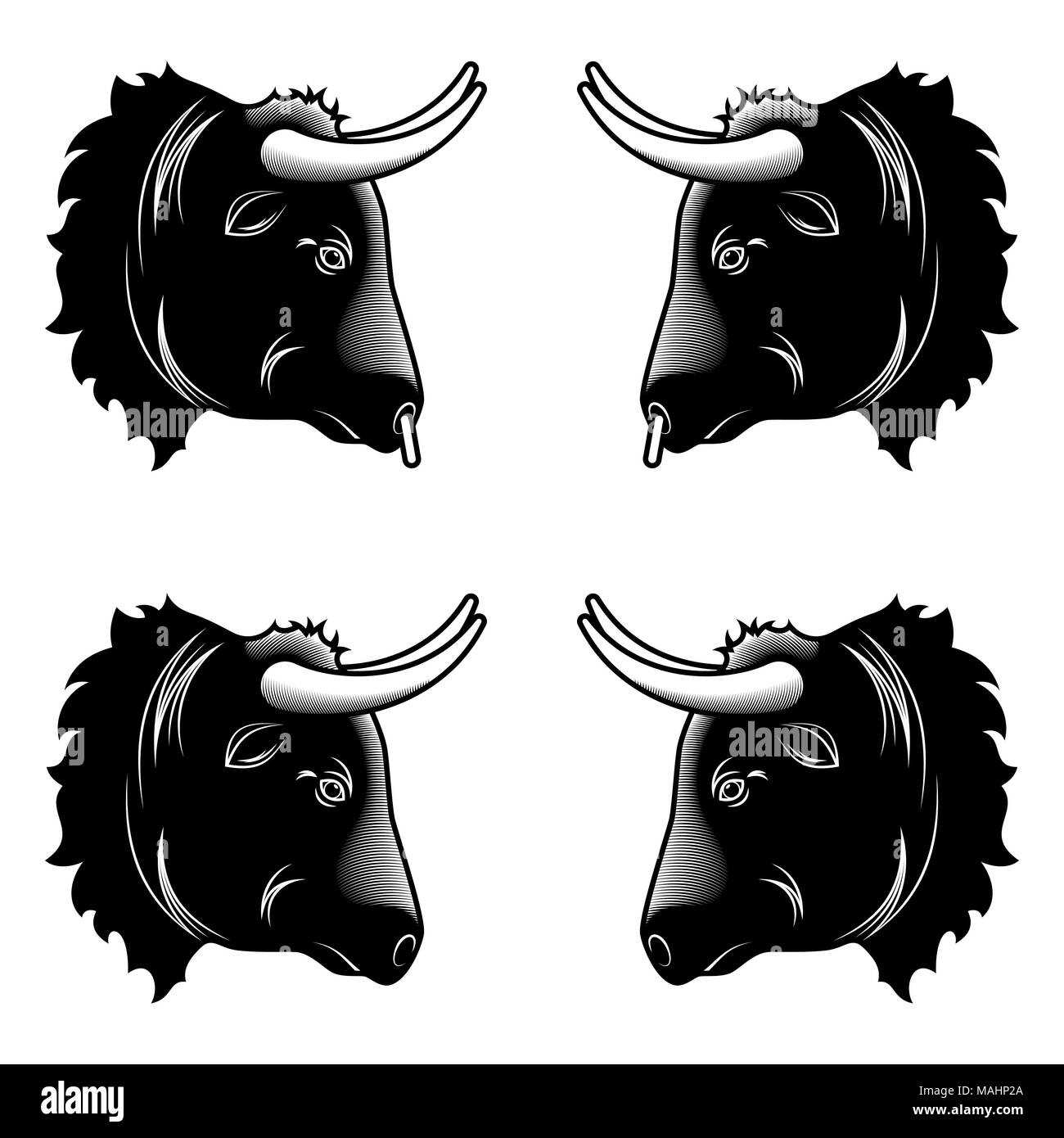 Stylized design of bull head. Vector illustration of bull head in black ...