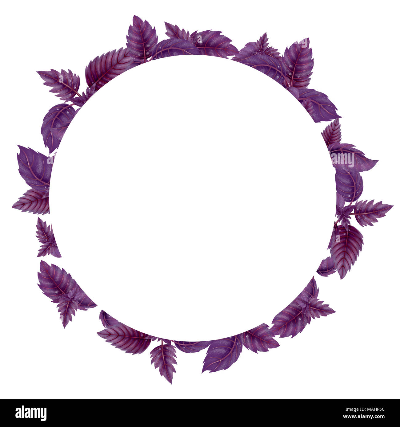 Basil spice Cut Out Stock Images & Pictures - Alamy
