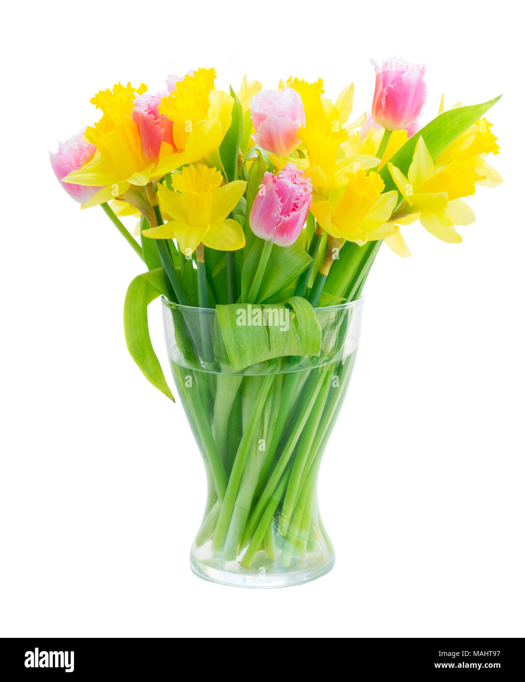 Tulips daffodils bloom flower Cut Out Stock Images & Pictures - Alamy