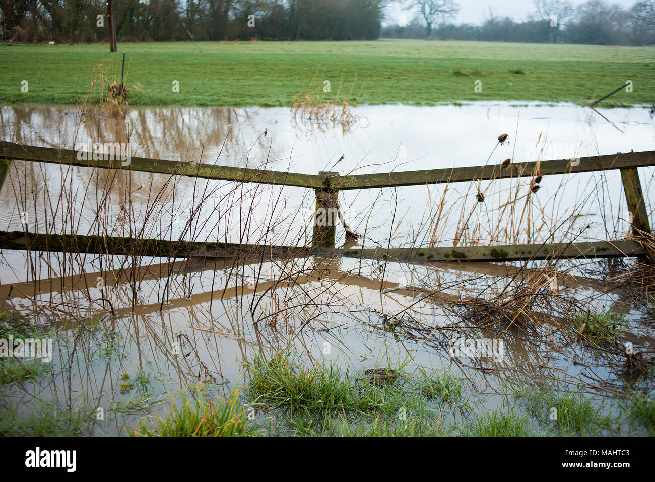 High water levels from a river causing flooding, brought on by climate ...