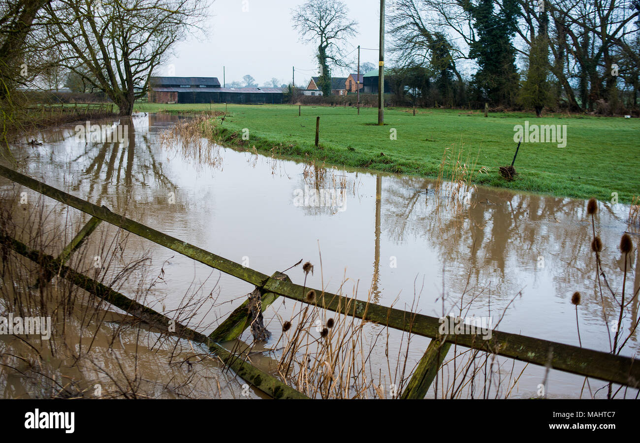 High water levels from a river causing flooding, brought on by climate ...