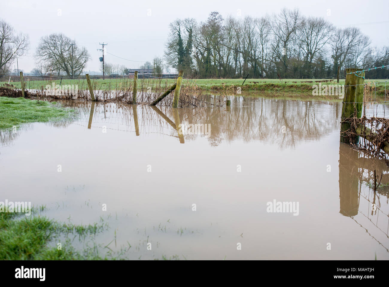 High water levels from a river causing flooding, brought on by climate ...