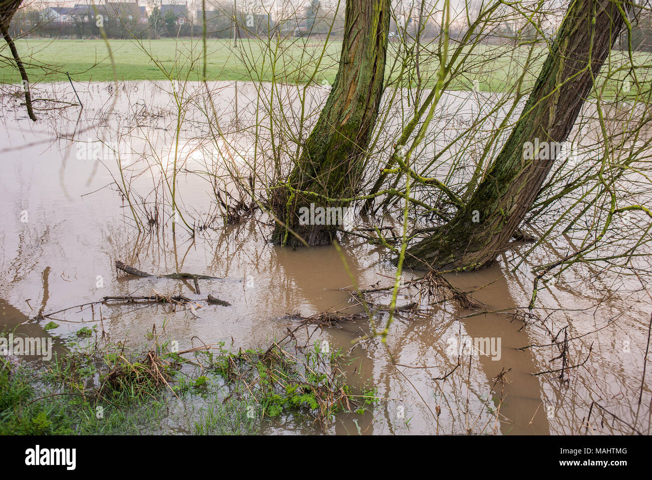 High water levels from a river causing flooding, brought on by climate ...
