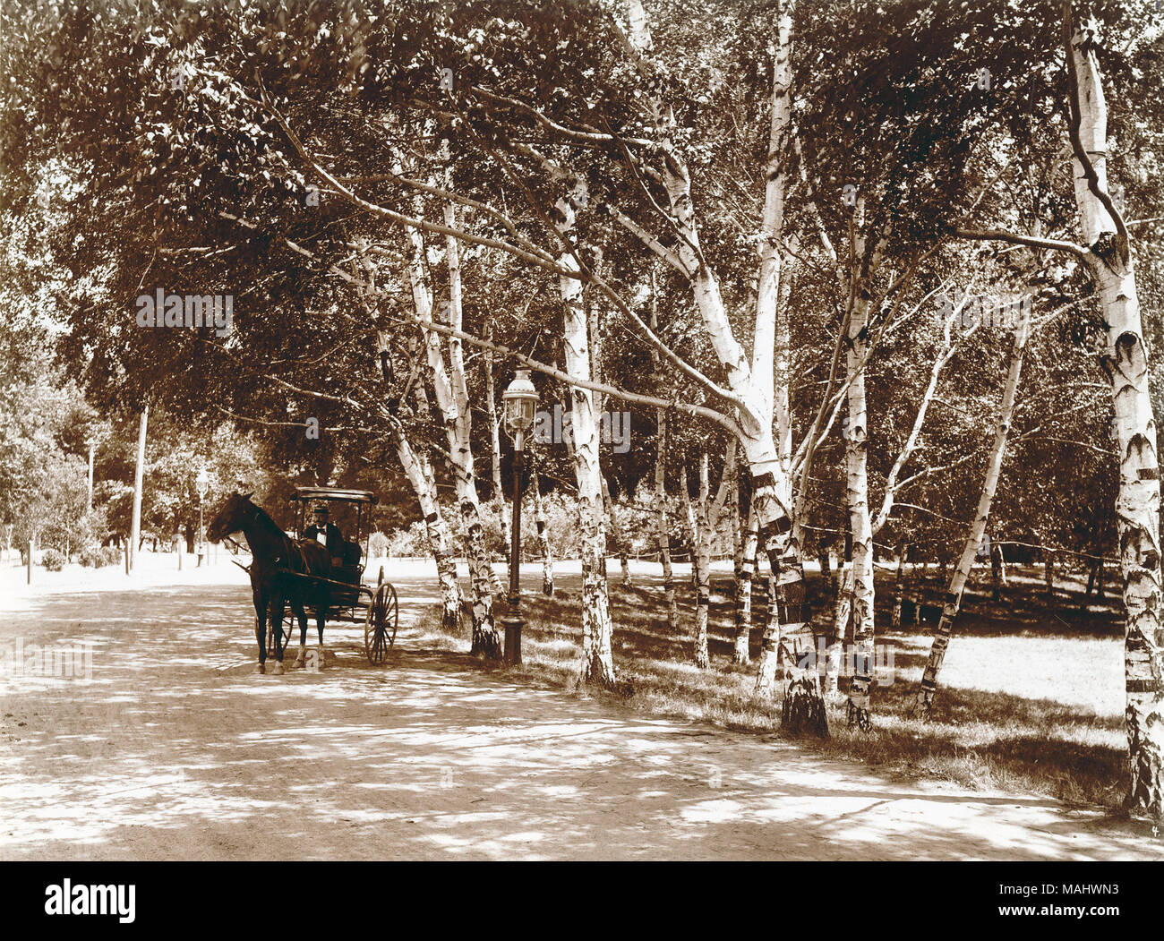 Stark museum hi-res stock photography and images - Alamy