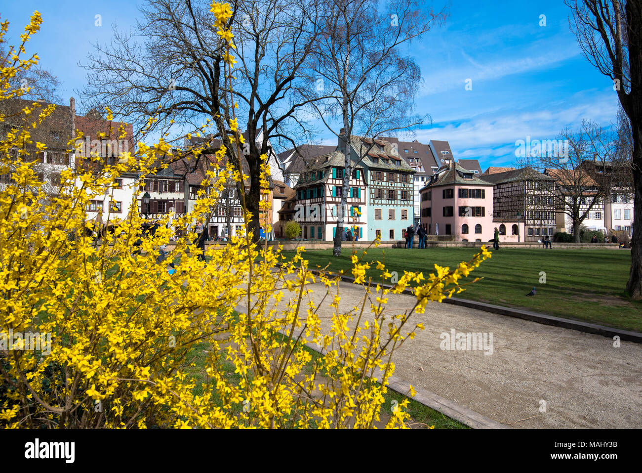 Spring strasbourg hi-res stock photography and images - Alamy