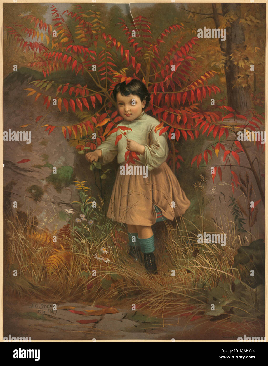 Bo brown hi-res stock photography and images - Alamy