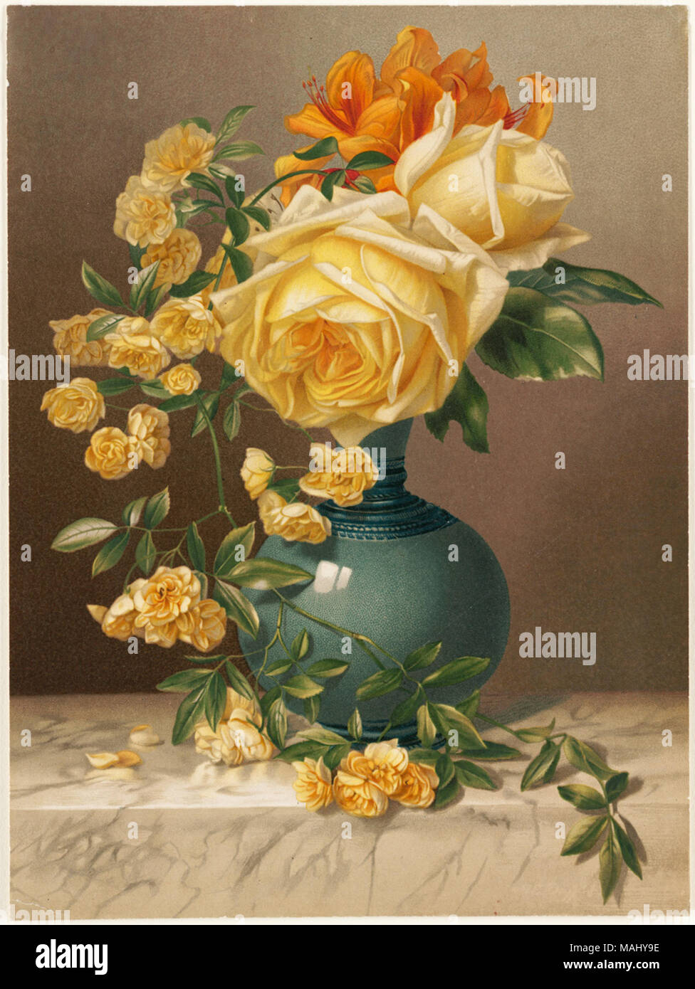 William duffield hi-res stock photography and images - Alamy