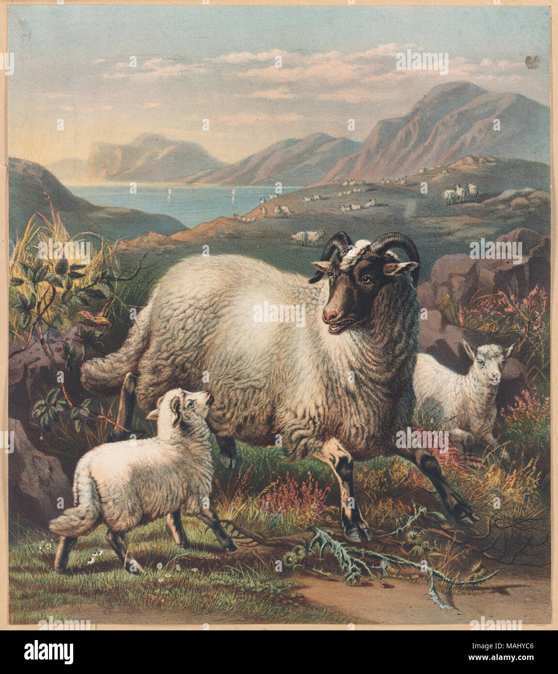 L twins hi-res stock photography and images - Alamy