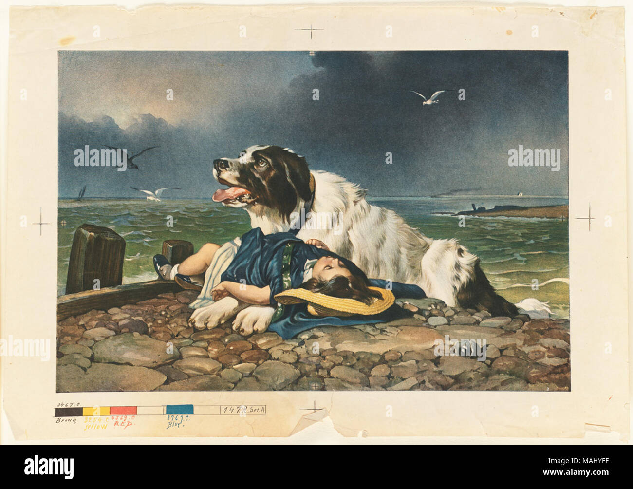 Saved by landseer hi-res stock photography and images - Alamy