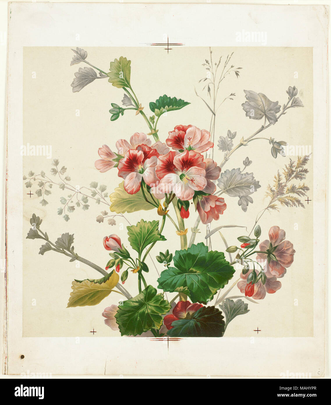 1897 05 08 hi-res stock photography and images - Alamy