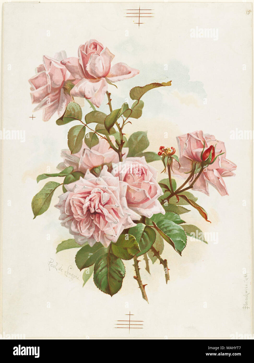Paul l pink hi-res stock photography and images - Alamy