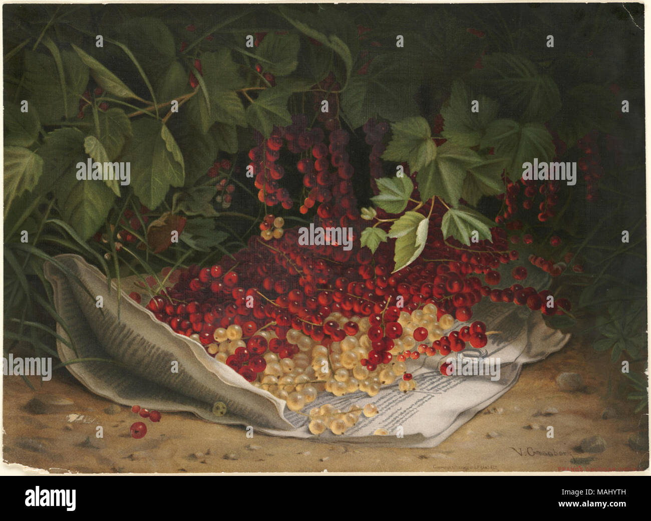 File name: 07 11 001005 Title: Currants Creator/Contributor: Granberry ...