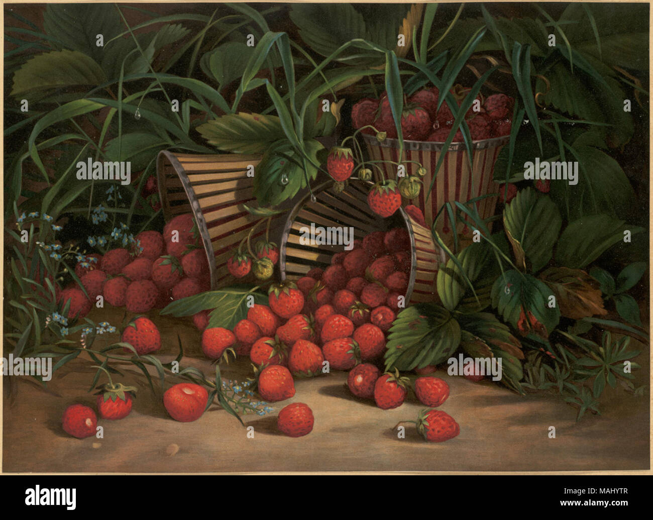 1921 artist hi-res stock photography and images - Alamy