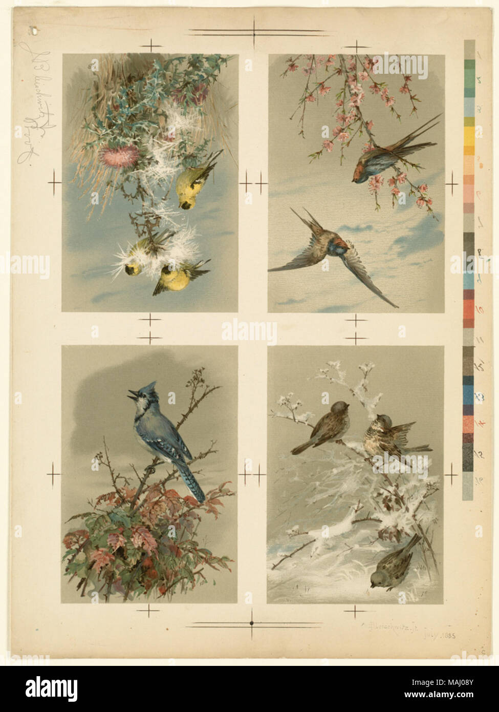 1834 four plates hi-res stock photography and images - Alamy