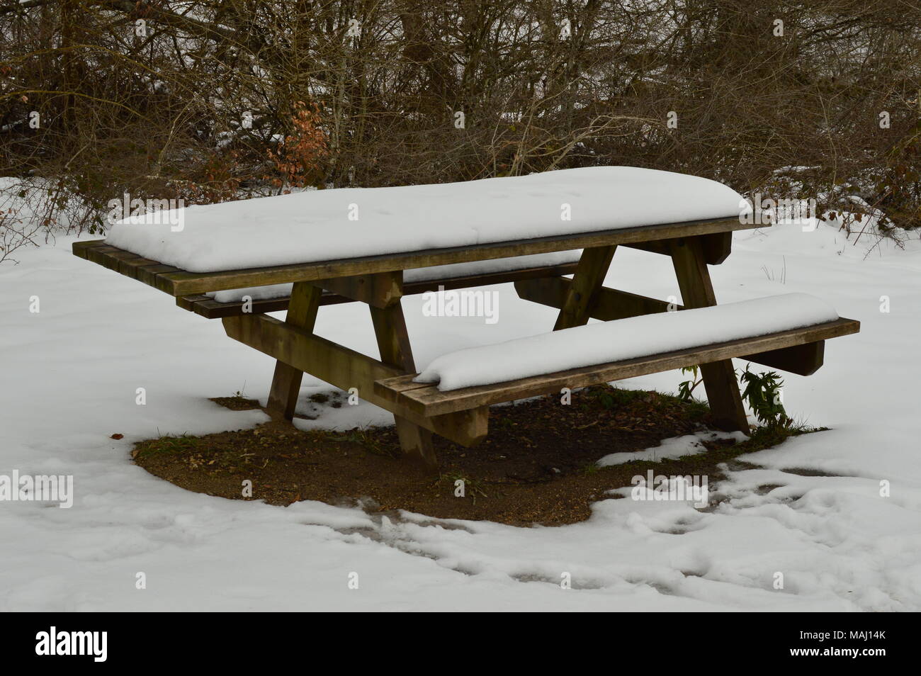 Monte leon national park hi-res stock photography and images - Alamy