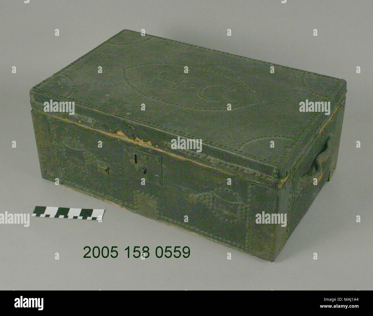 Formed on trunk hi-res stock photography and images - Alamy