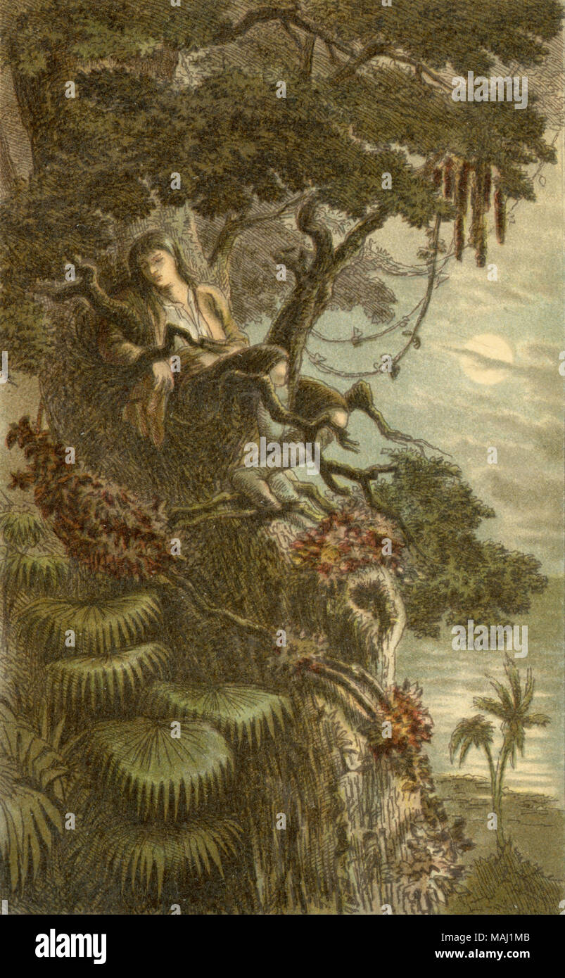 Robinsons island hi-res stock photography and images - Alamy